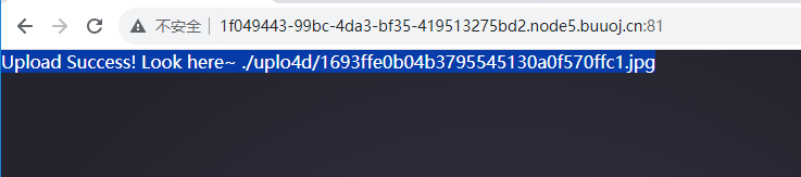 web-buuoj-[ACTF2020 新生赛]Upload | Hacker进化论